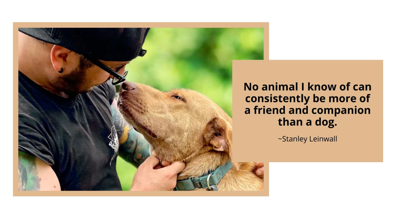 Summit's Sanctuary – Dog Rescue